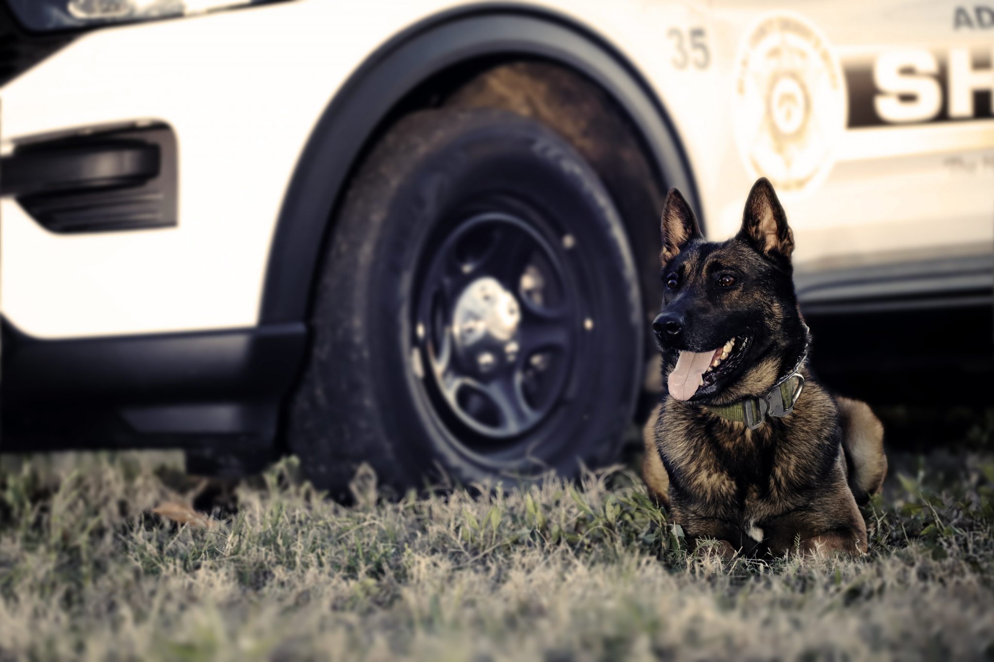 Canine Unit (K-9) – Adams County Sheriff's Office